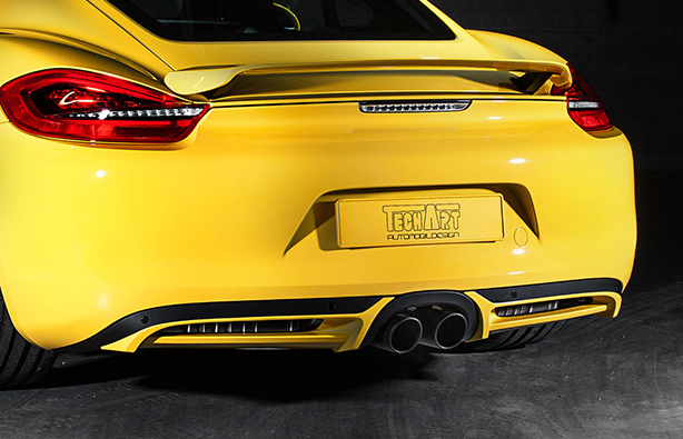 TARIFF Techart Rear Diffuser Add-On (981) : Suncoast Porsche Parts ...