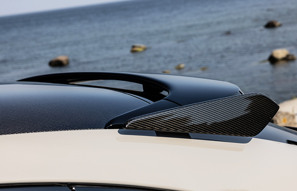 "GT" Carbon Fiber Spoiler Side Fins : Suncoast Porsche Parts & Accessories
