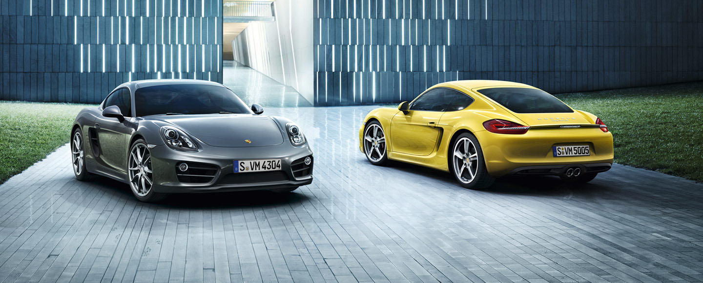 Cayman Parts & Accessories (981)