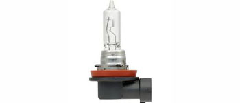 High Beam Bulb - H9 : Suncoast Porsche Parts & Accessories